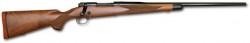 Model 70 Bolt Action -Winchester Collector